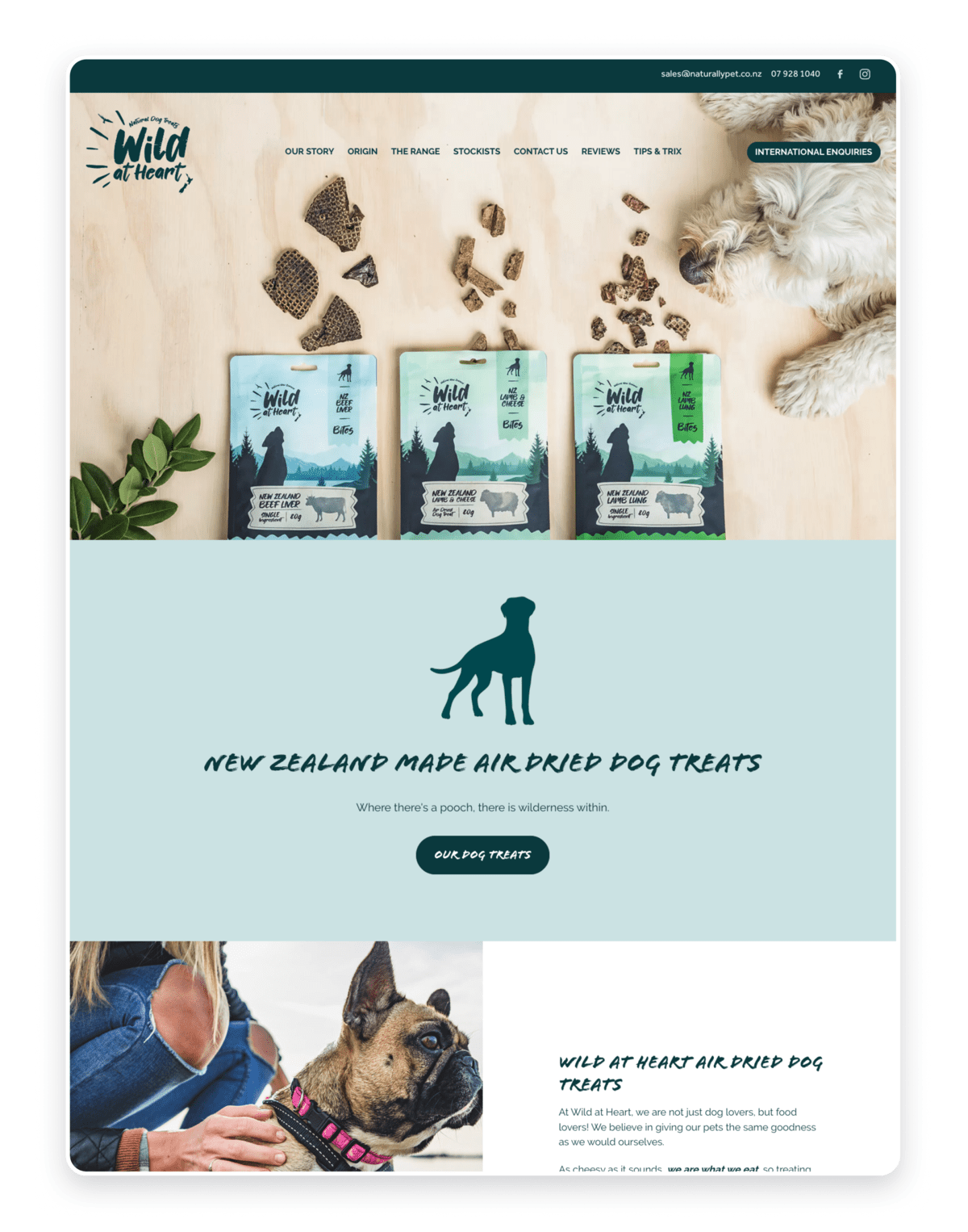 Web Design Packages | Rocketspark